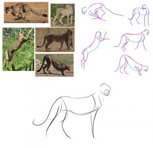 How to Start a Drawing – Monika Zagrobelna