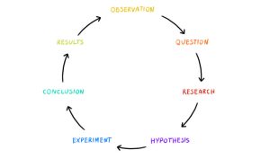 How to Practice Drawing Using the Scientific Method – Monika Zagrobelna