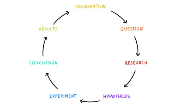 How to Practice Drawing Using the Scientific Method – Monika Zagrobelna