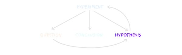 How to Practice Drawing Using the Scientific Method – Monika Zagrobelna