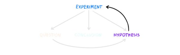 How to Practice Drawing Using the Scientific Method – Monika Zagrobelna