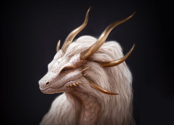 How to Practice Drawing Using the Scientific Method – Monika Zagrobelna