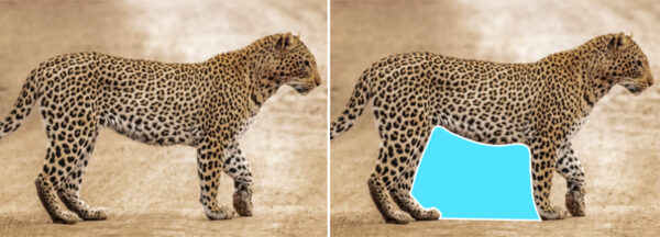 How to Draw What You See – Monika Zagrobelna