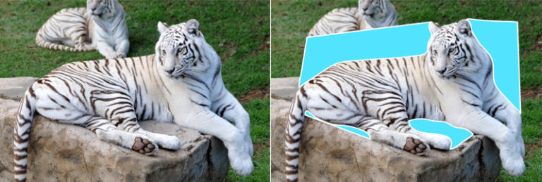 How to Draw What You See – Monika Zagrobelna