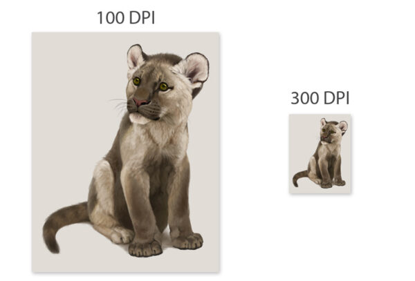 What DPI, Size, and Resolution are Best for Digital Art? – Monika ...