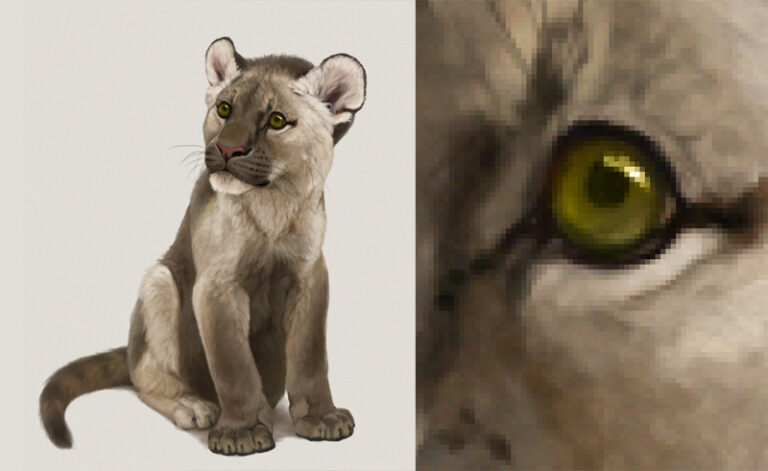 What DPI, Size, and Resolution are Best for Digital Art? – Monika ...